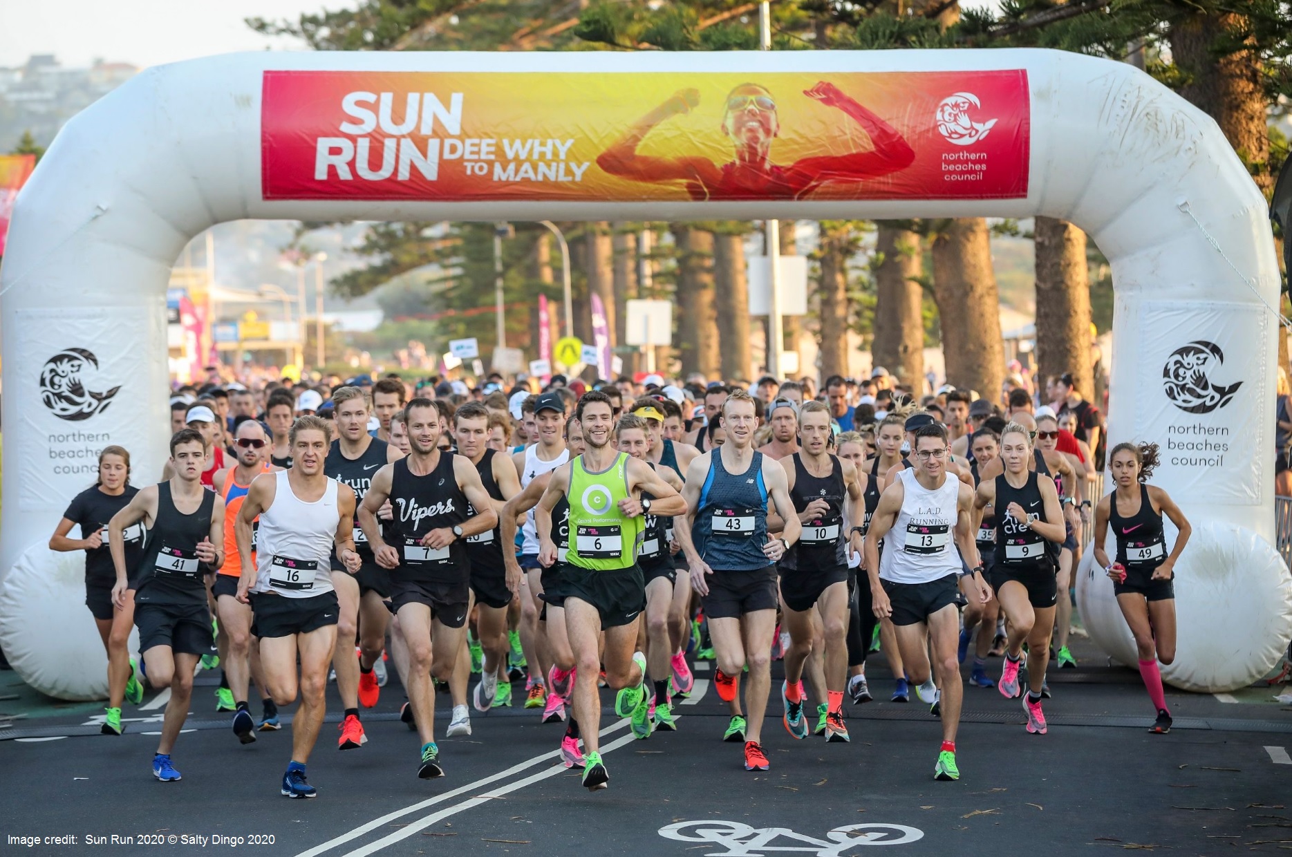 Home | transportnsw.info